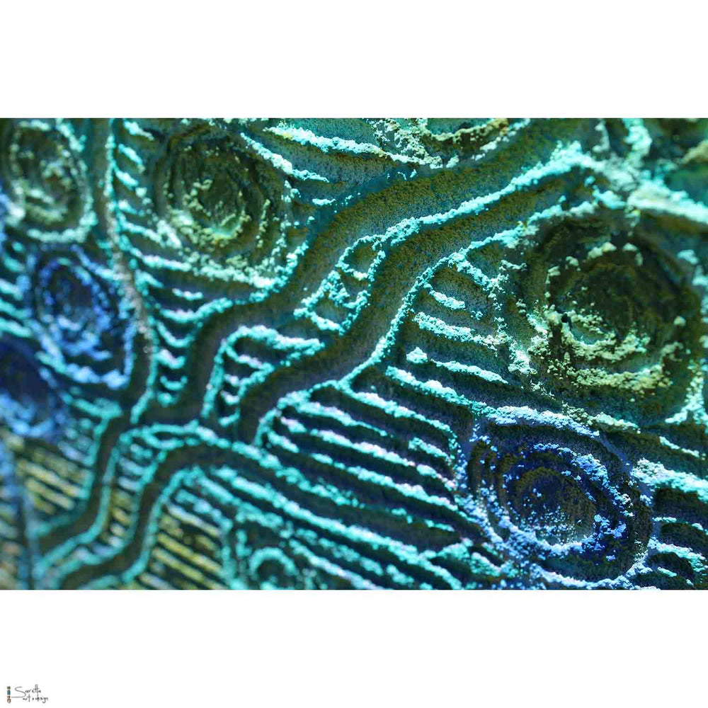 Kanto - Native Blue Berry Original artwork by Saretta | Saretta Art ...